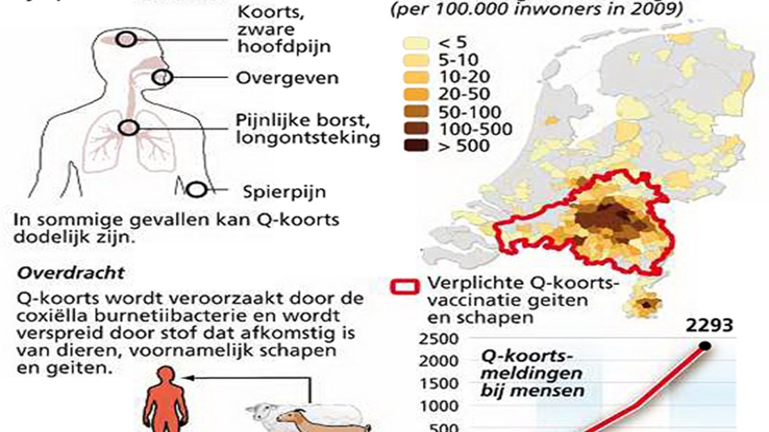 Q koorts - Hogeschool Rotterdam
