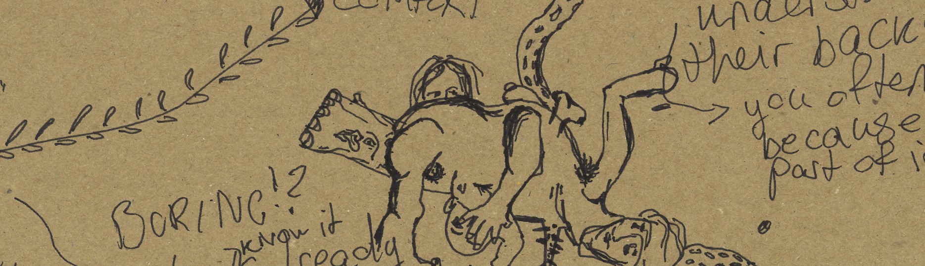 Willem de Kooning Academy - Rotterdam University of Applied Sciences