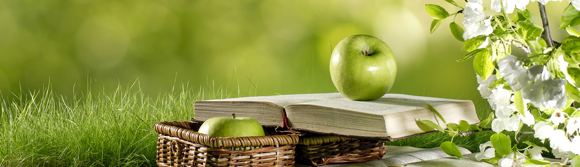 Spring half-term - Hogeschool Rotterdam