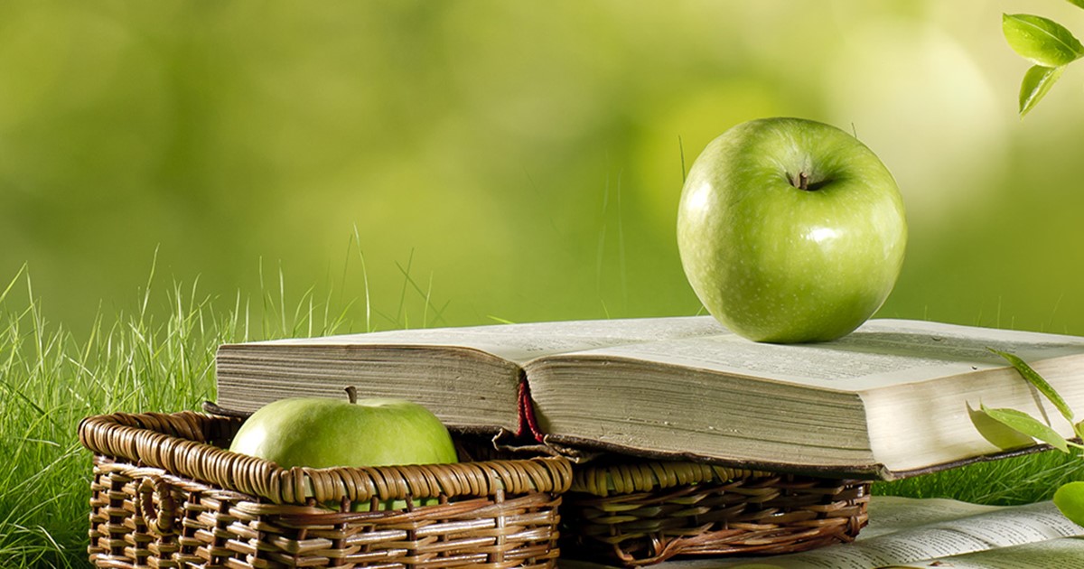 Spring half-term - Hogeschool Rotterdam