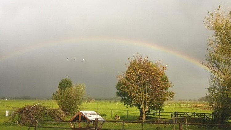 Dr. Michiel de Ronde - Hogeschool Rotterdam