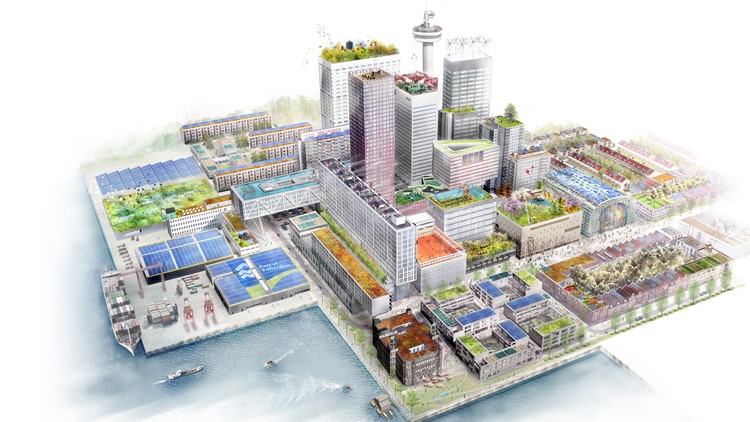 Creating Resilient Cities - Rotterdam University of Applied Sciences