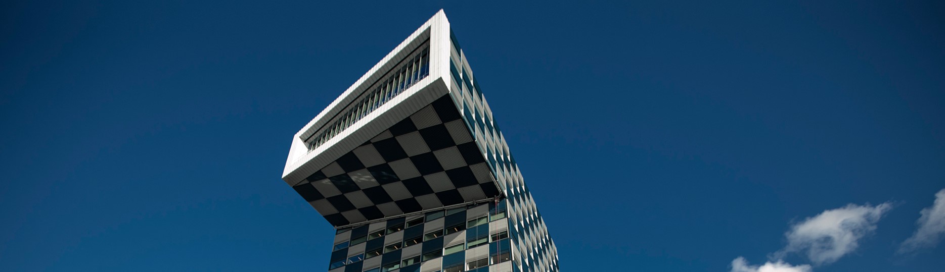 Organisatie: Rotterdam Mainport Institute - Hogeschool Rotterdam