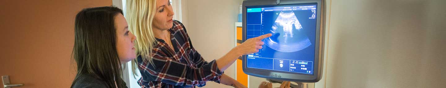 Stagebegeleider worden - Hogeschool Rotterdam